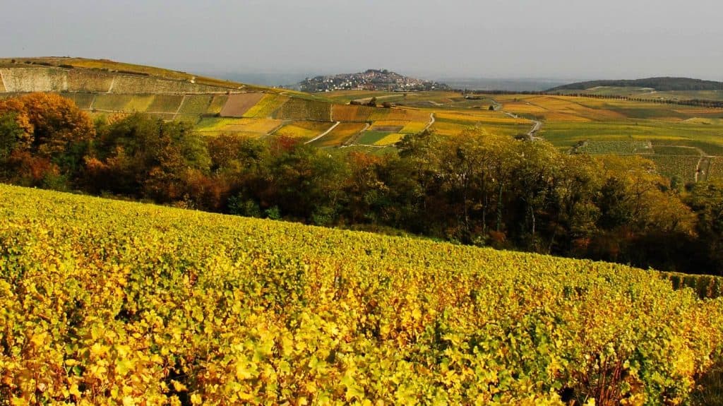 Balland Sancerre - Provinum