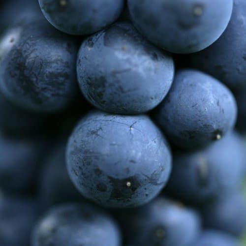 Fournier Sancerre Rosé ”Les Belles Vignes” - Provinum