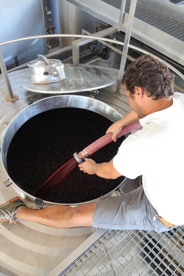 Casa Relvas Touriga Nacional - Provinum