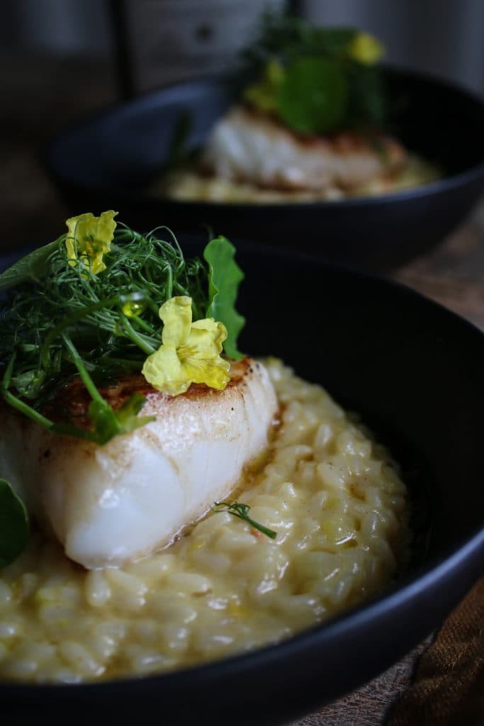 Stekt torskrygg på citronrisotto - Provinum